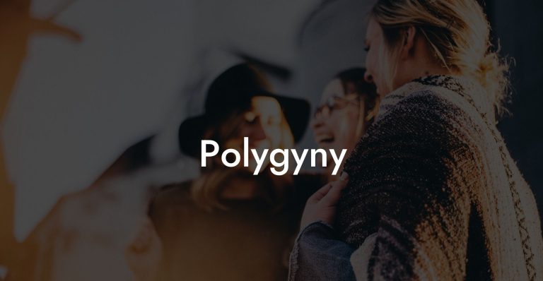 Guide to Polygyny - The Monogamy Experiment - Ethical Non-Monogamy | Polyamory | Open Relationships